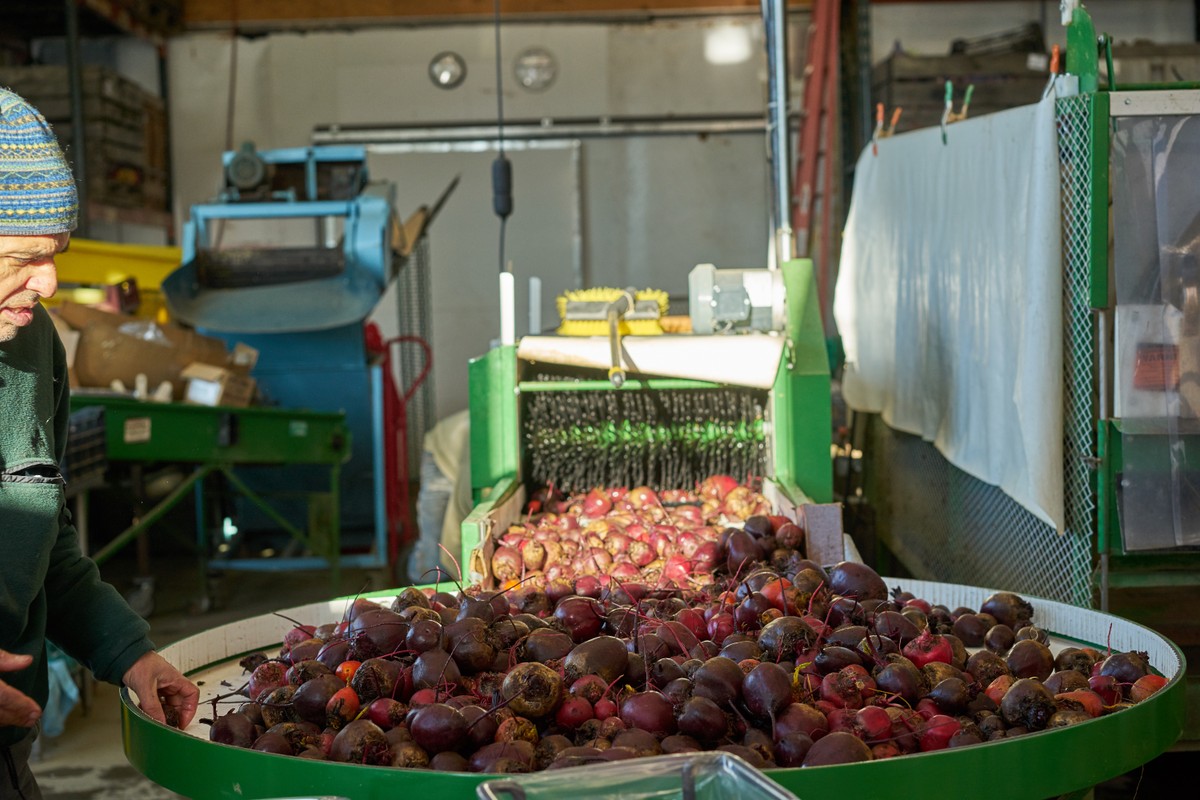 Washing the Beets